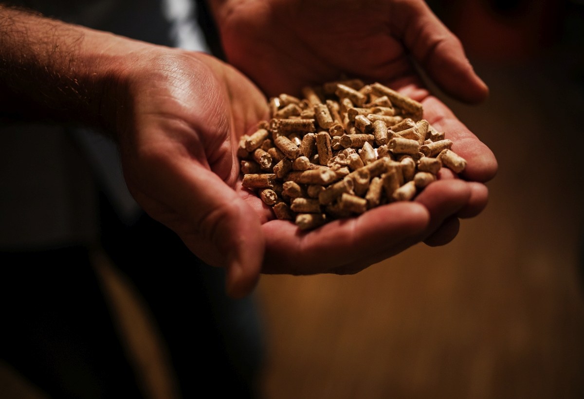 Kohlenmonoxid im Pelletslagerraum — Energieinstitut Vorarlberg